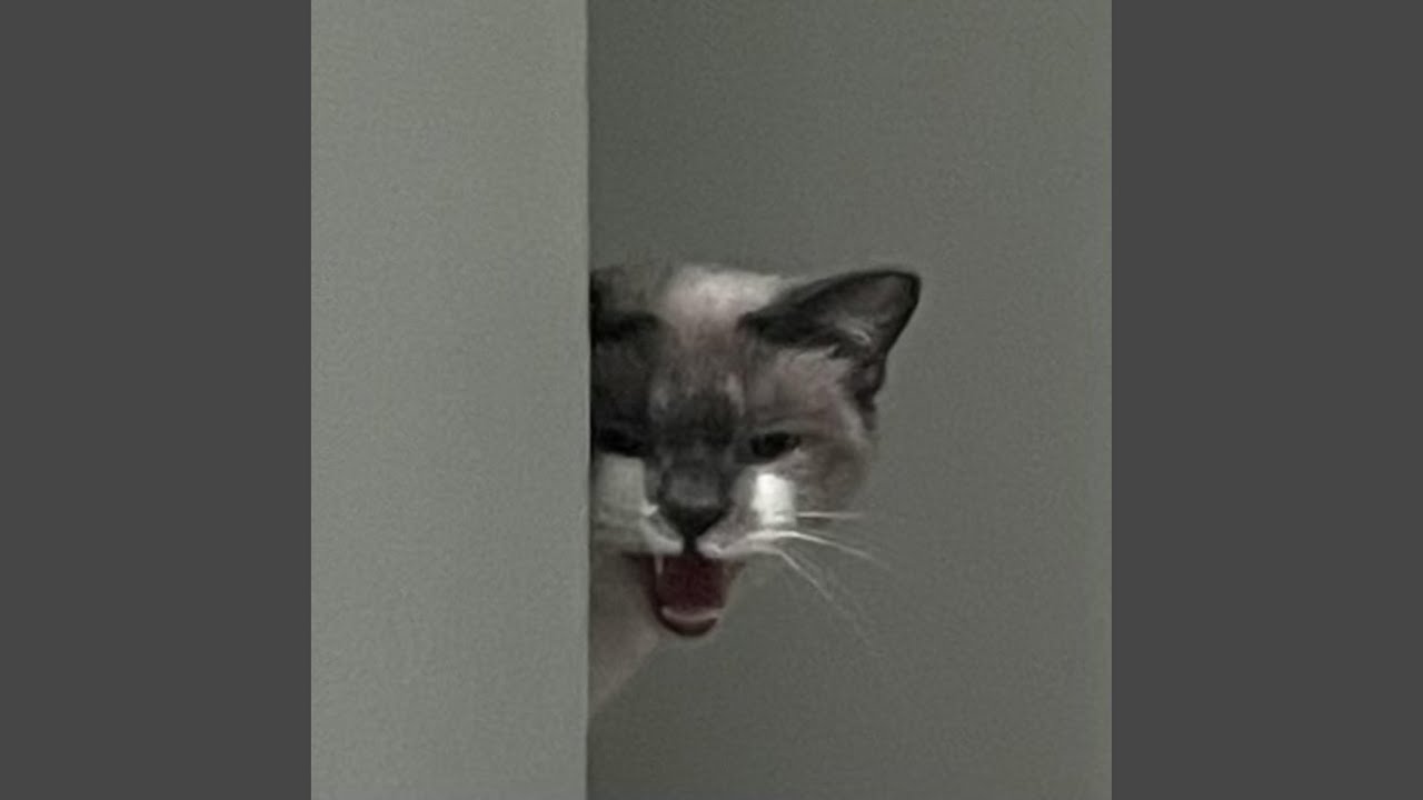 Hey Man (Remastered) - YouTube