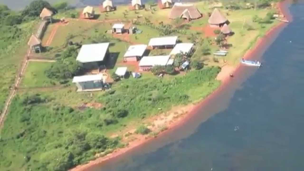 Ngamba Island Chimpanzee Sanctuary - YouTube