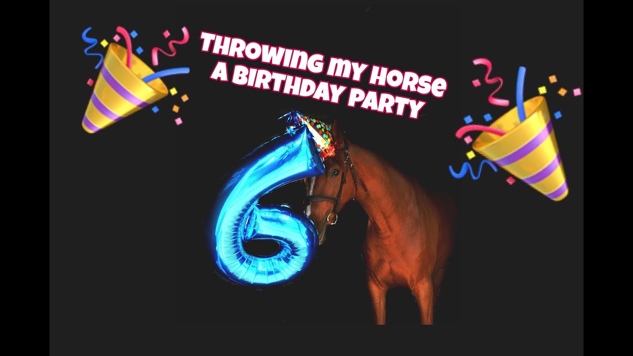 Throwing A Horse B-Day Party & Galloping Bridleless - YouTube