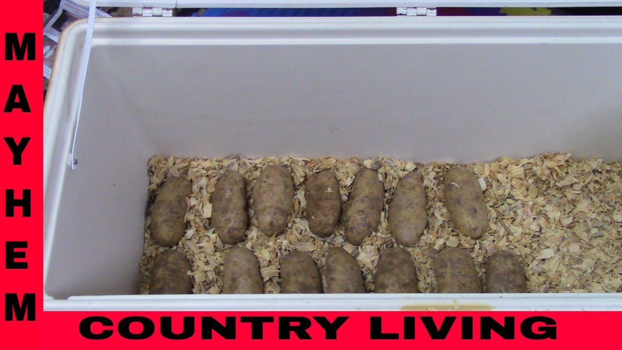 Portable root cellar - YouTube