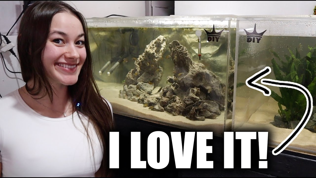 The king of DIY SURPRISED me with FULLY SET UP and SCAPED Fish Tank ...