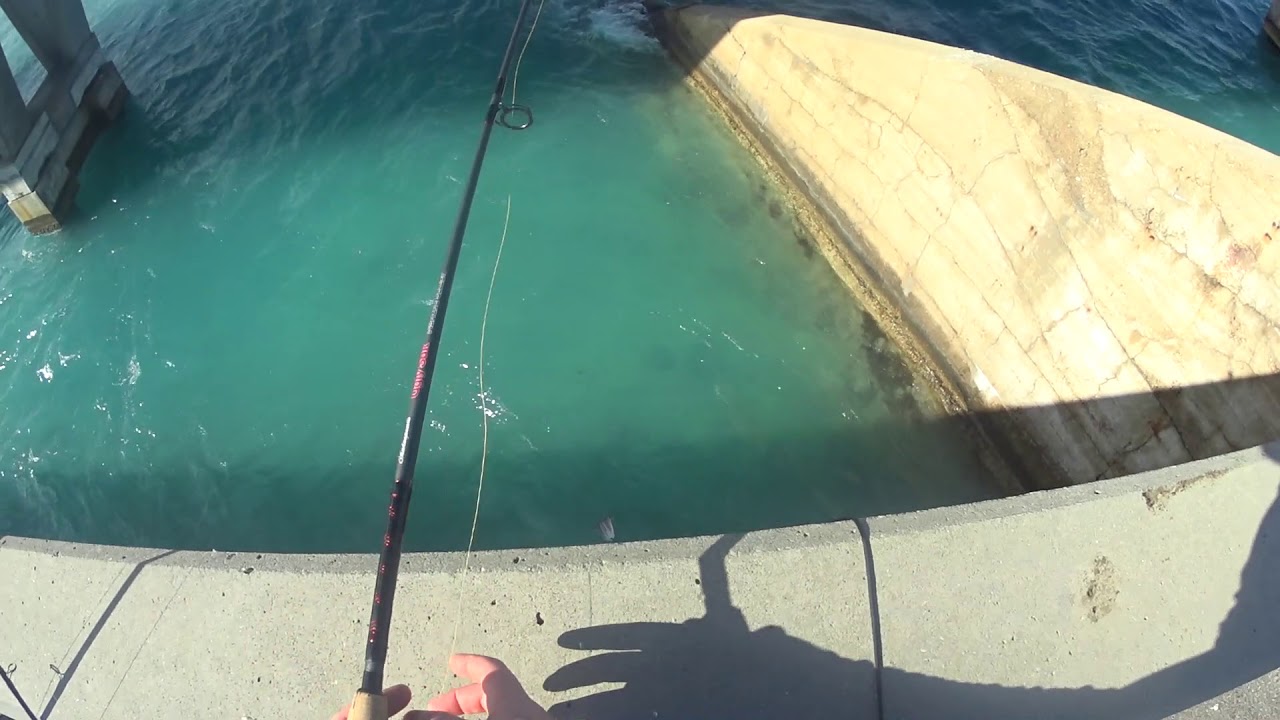Bridge Fishing in the Keys: Duck Key - YouTube