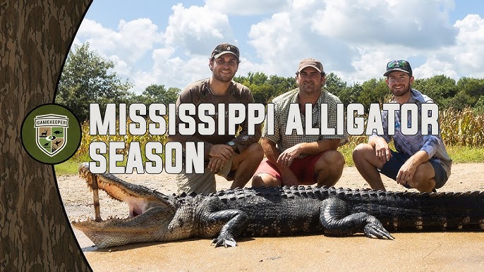 Biggest Alligator Ever Caught