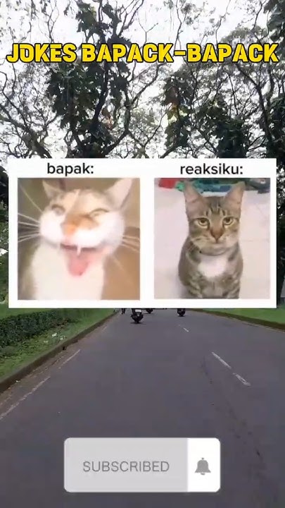 JOKES BAPACK - BAPACK - YouTube