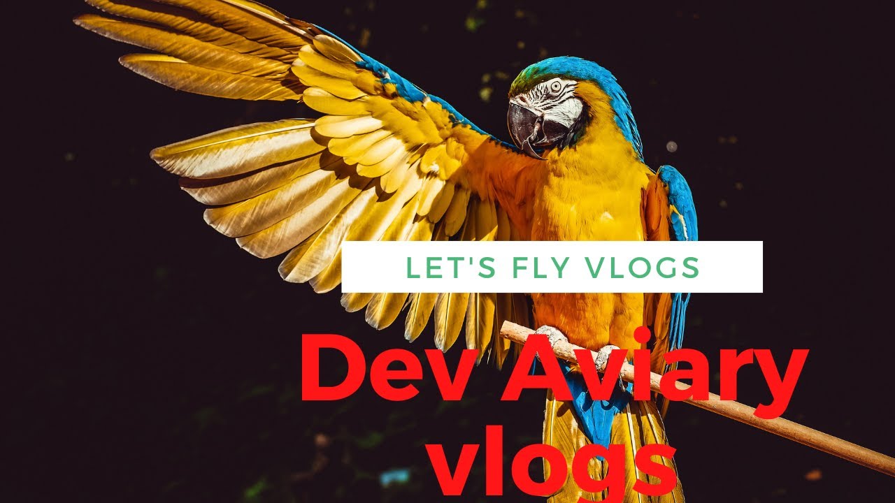 Dev aviary Funny moments video is out now. To watch please click the link in the description box ...