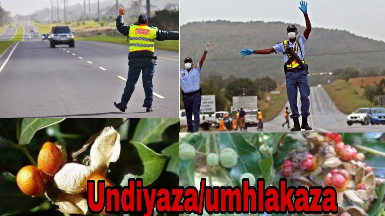 umuthi wokwenza imoto yakho ayingavinjwa amaphoyisa /hlakaza izitha ...