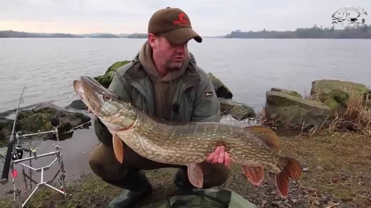 The hunt for my first 2015 Pike. - YouTube