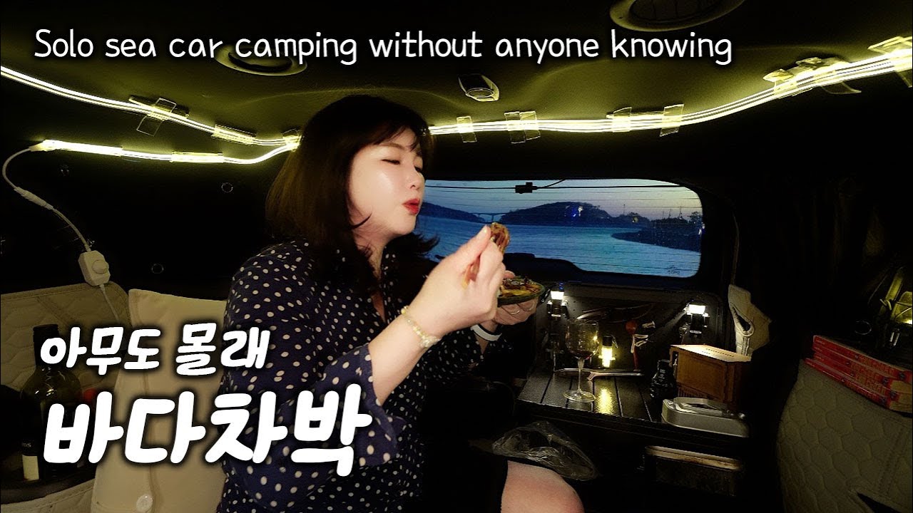 노지 바다 솔로 차박캠핑 불간짜장 와인 만화책 그리고 길고양이 개냥이 이건 찐행복 익스플로러차박 스텔스차박 Youtube