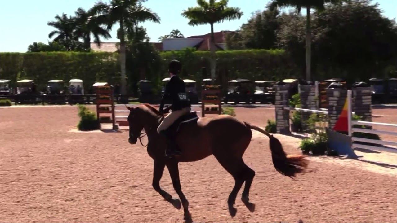 Riley Hogan and Mid summer WEF week 4 ASPCA Maclay - YouTube
