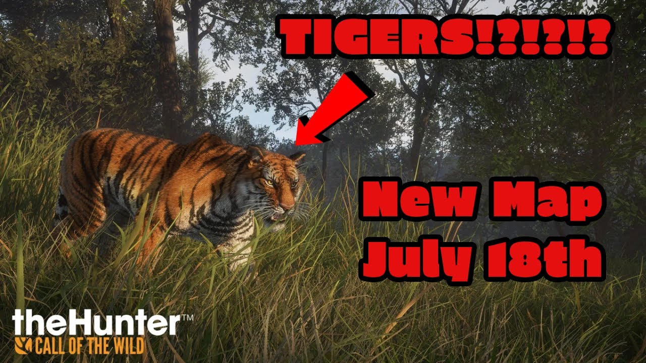Hunting tigers on Sundarpatan (New Map) - YouTube