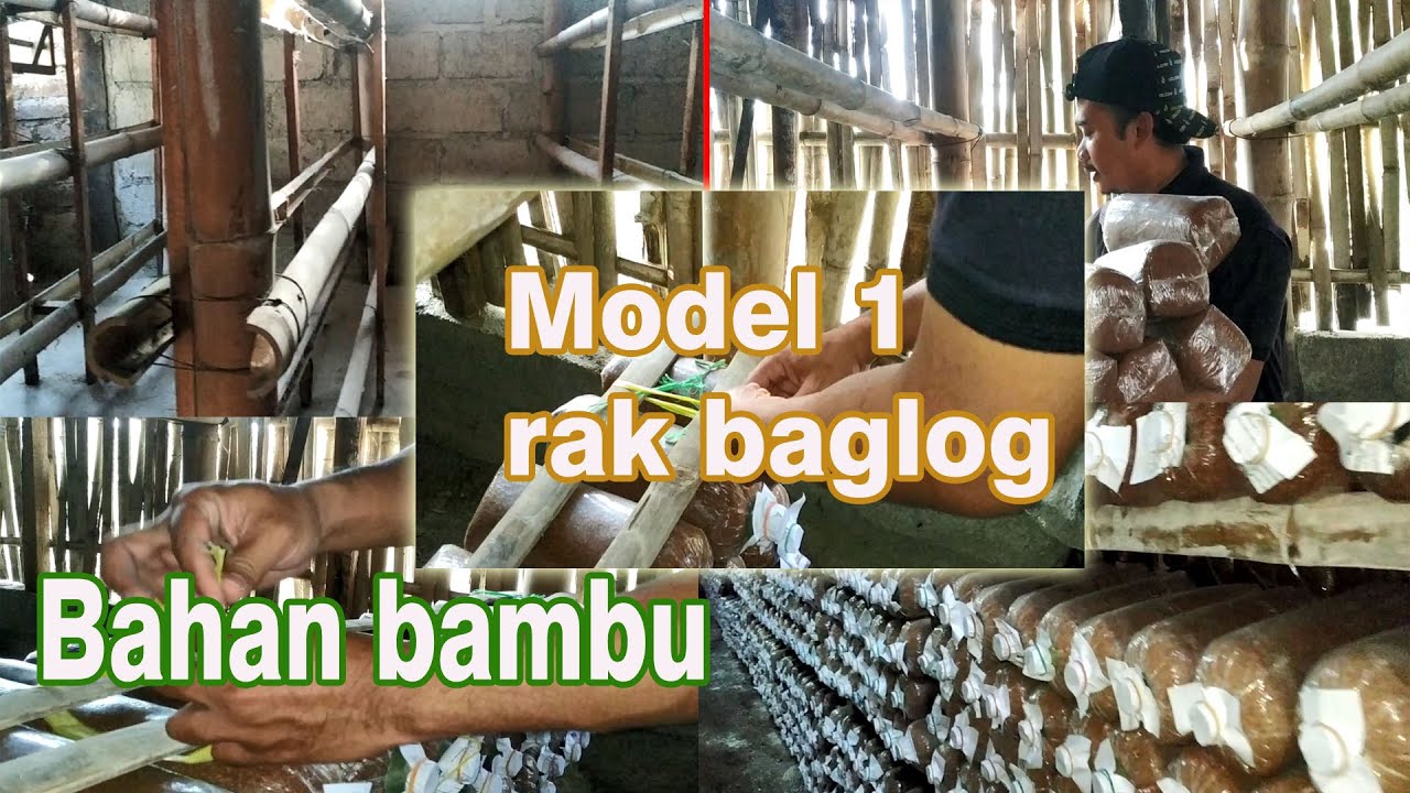 Rak baglog jamur tiram dari bahan bambu - (model 1) - YouTube
