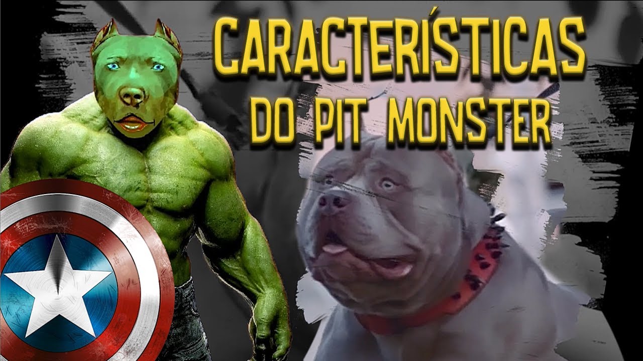 Características da Raça Pit Monster - Temperamento e Cores - YouTube