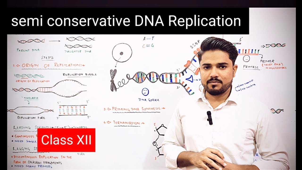 Semiconservative DNA Replication - YouTube