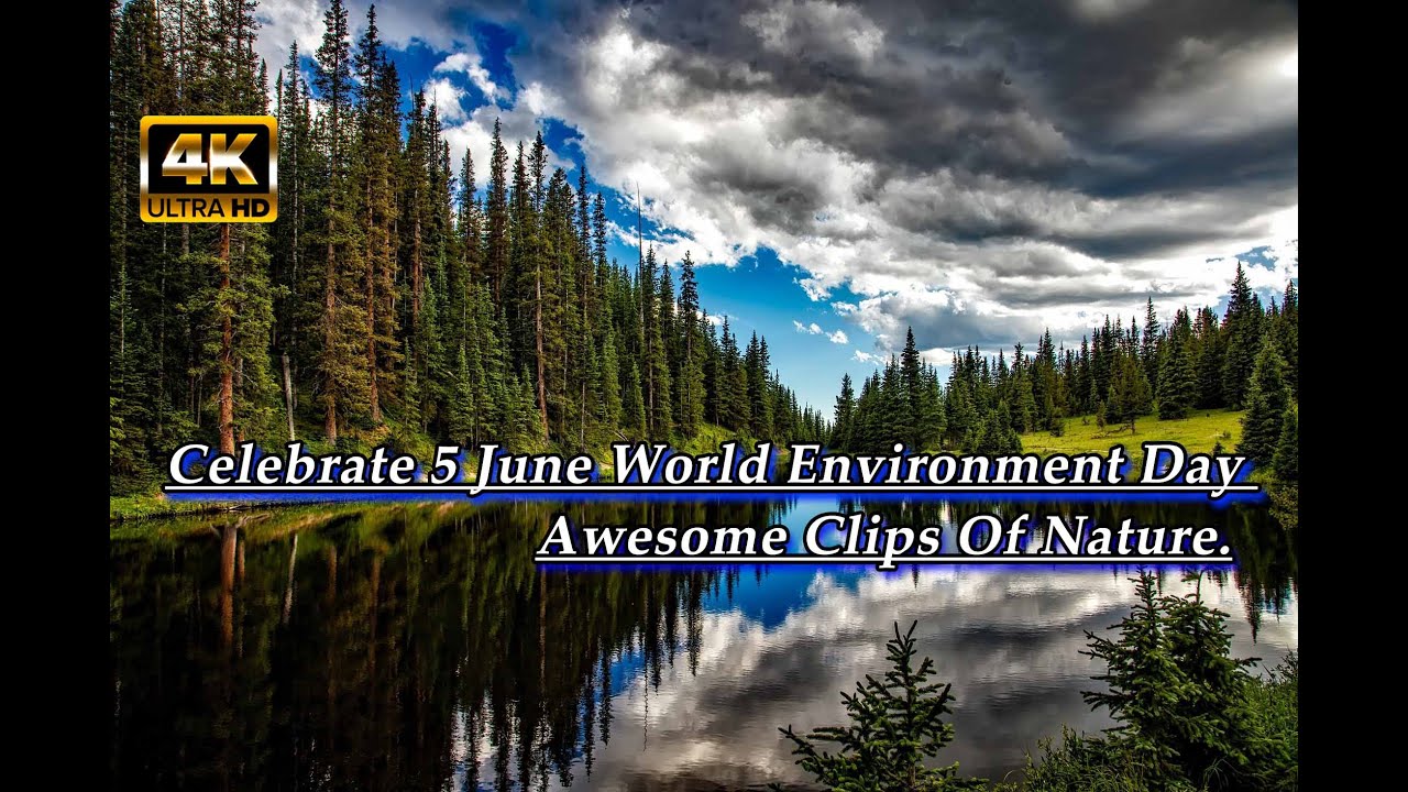 *Special 4k video * World Environment Day - The Most Important Day In ...