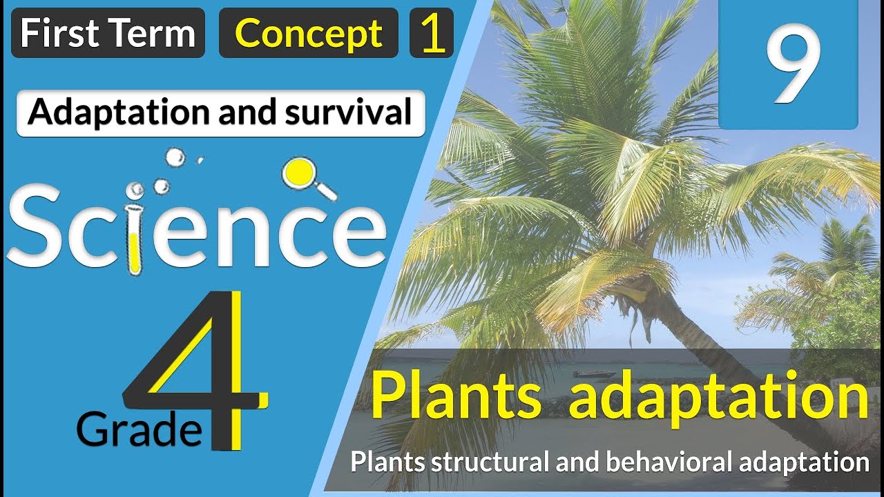 lesson 3-1| Plants structural and behavioral adaptation | science grade ...