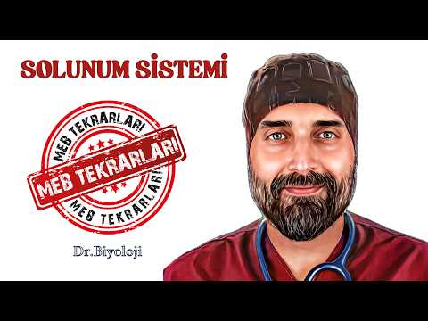 MEB Tekrarları | Solunum Sistemi | Dr. Biyoloji