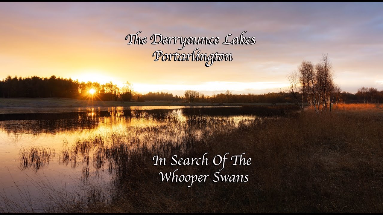 The Derryounce Lakes Portarlington - YouTube