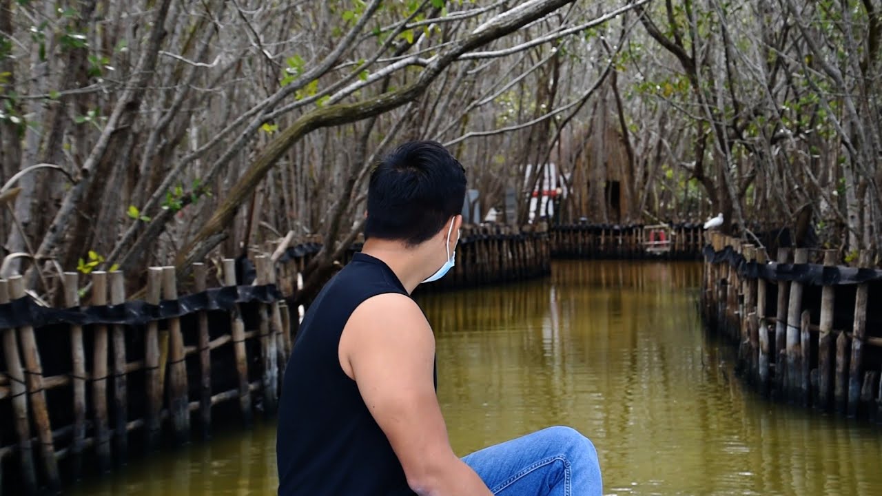 Viajé a la ISLA DE LOS MAPACHES - Un paraiso de naturaleza en MÉXICO ...