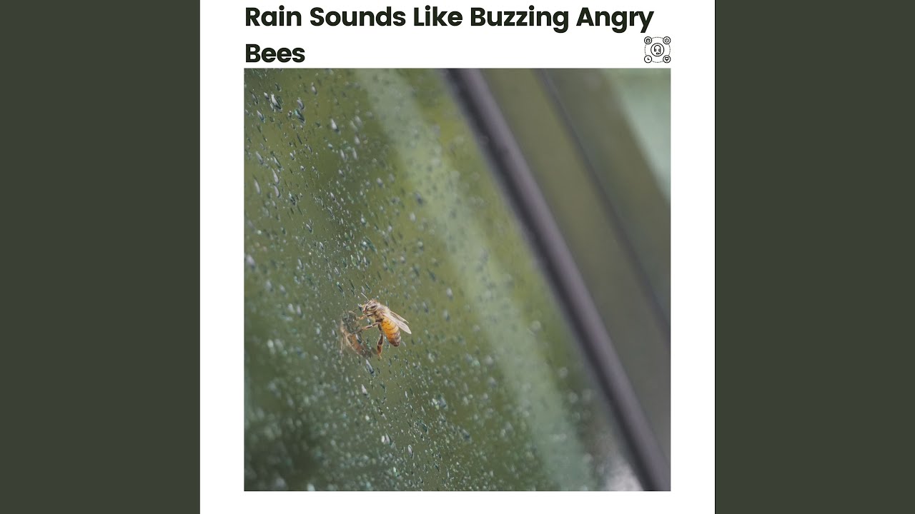 Rain Against My Window Relaxing Sounds of Rain, Pt. 10 - YouTube