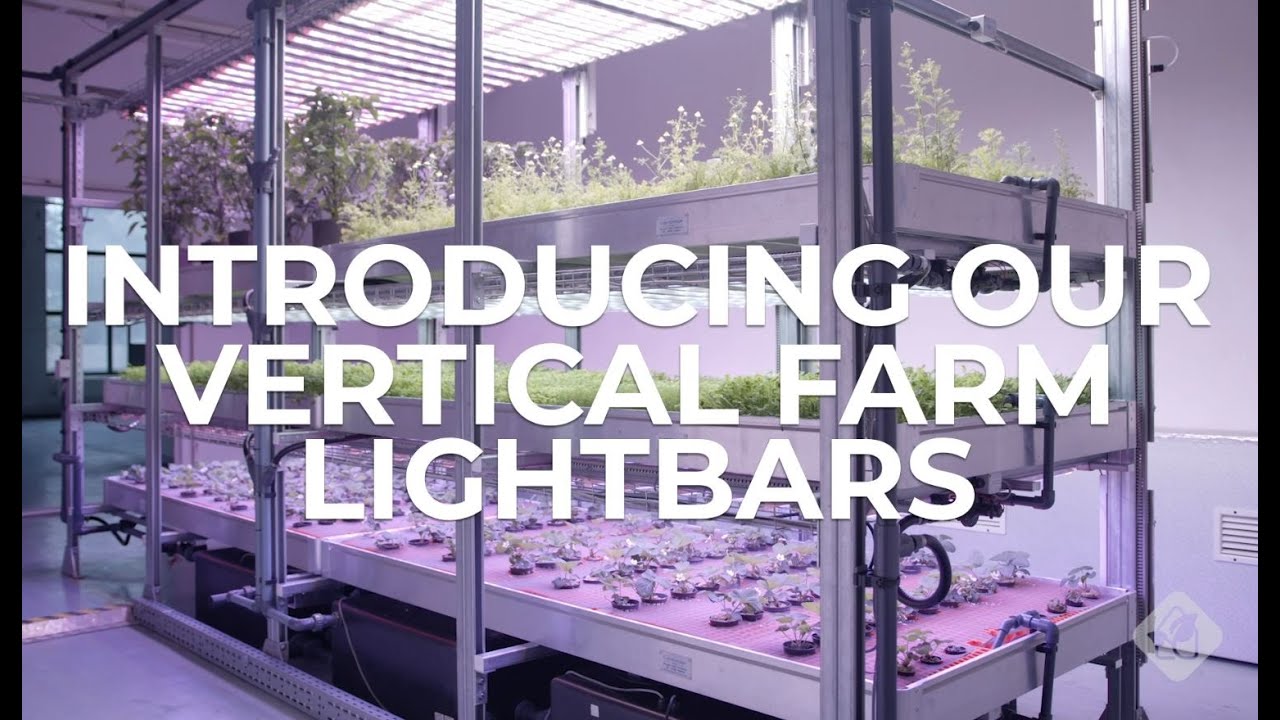 Vertical Farm Lightbars by Food Autonomy Lighting - YouTube