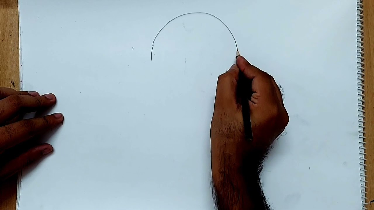 how to draw limulus diagram I limulus labelled diagram - YouTube