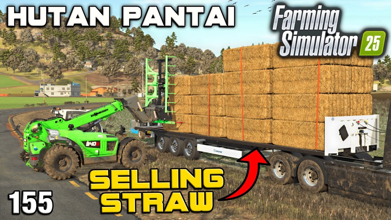 HOW MUCH WILL WE MAKE FROM THE STRAW BALES? Hutan Pantai FS25 Ep 155 ...