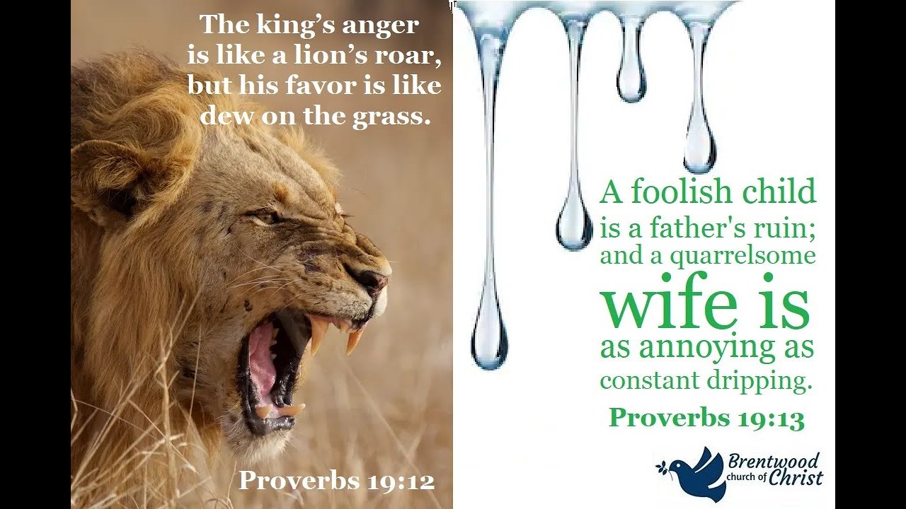 Proverbs 19:12-13 | Bible Study, 9.2.20 | #theBrentwoodchurch ...