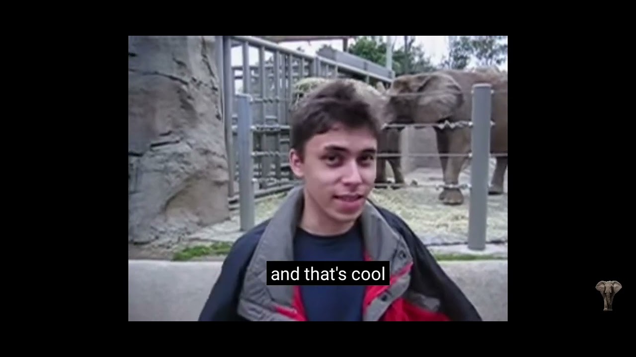 The First Video Of YouTube 2005 - YouTube