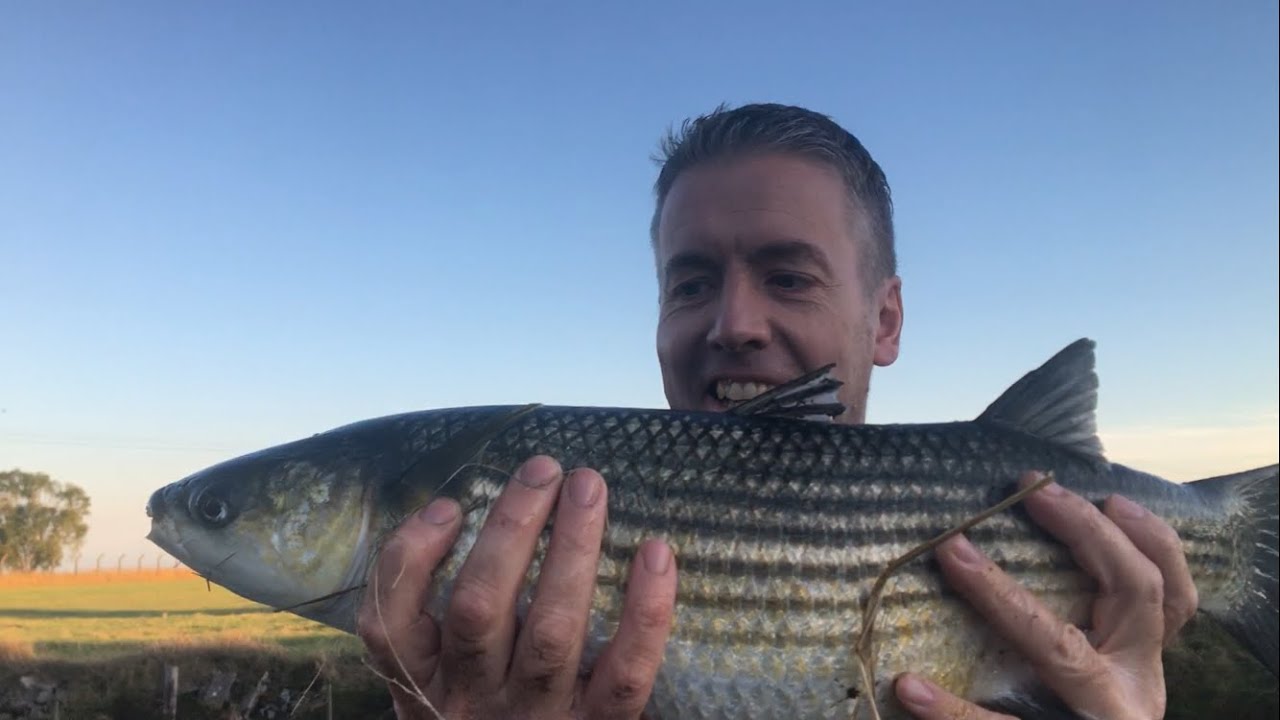 Mullet Mayhem! - YouTube