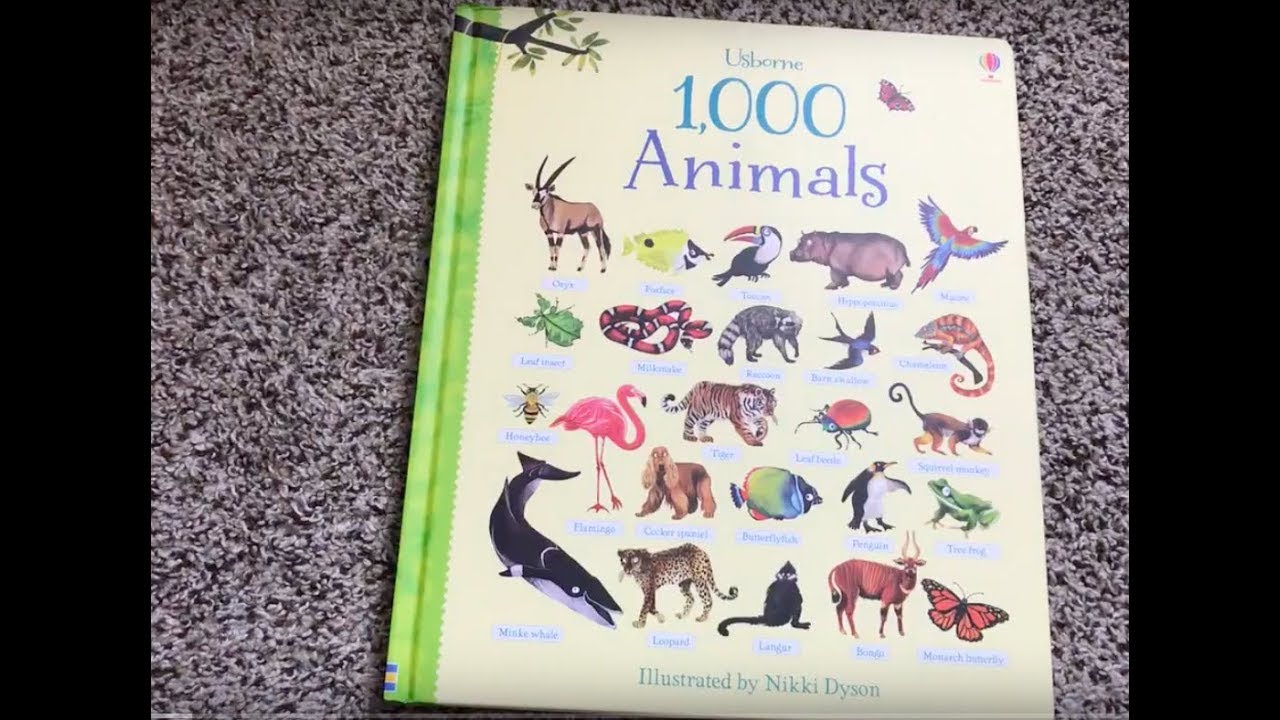 1000 Animals 🐍🐢🐫🦁 Usborne Books & More - YouTube
