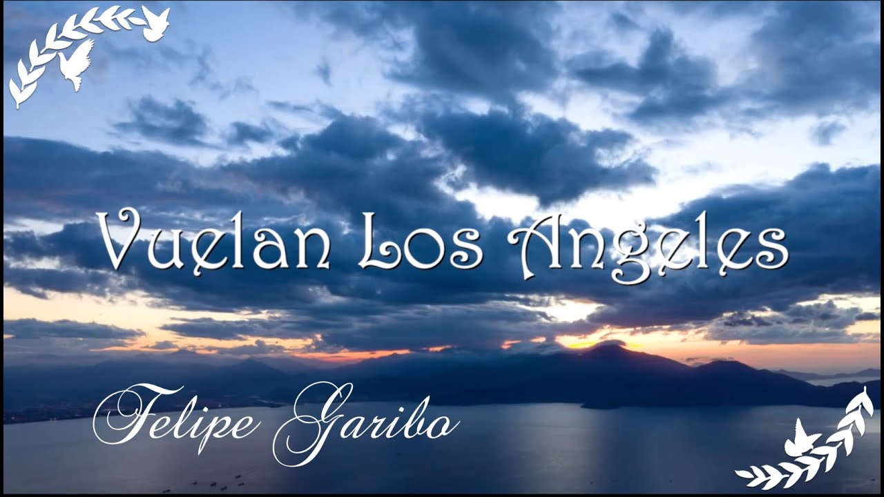 FELIPE GARIBO - Vuelan Los Angeles - ( VIDEO LETRA ) - YouTube