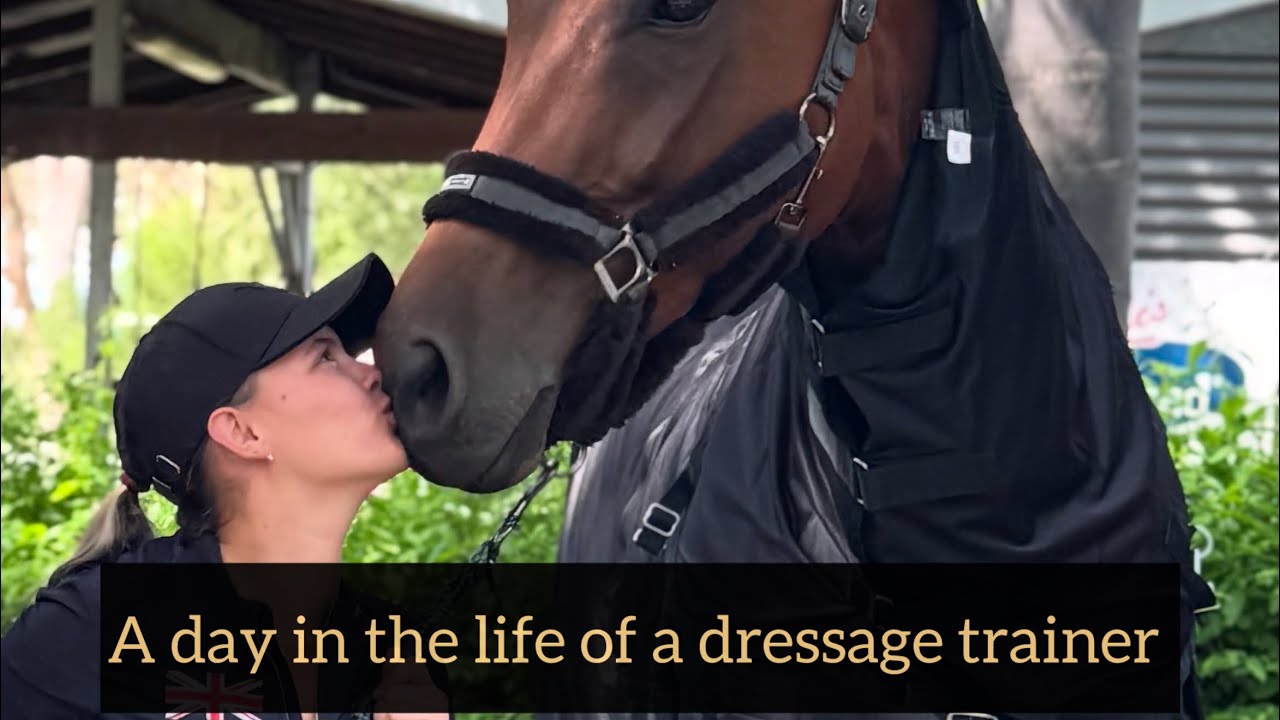 A day in the life of a professional dressage trainer - YouTube