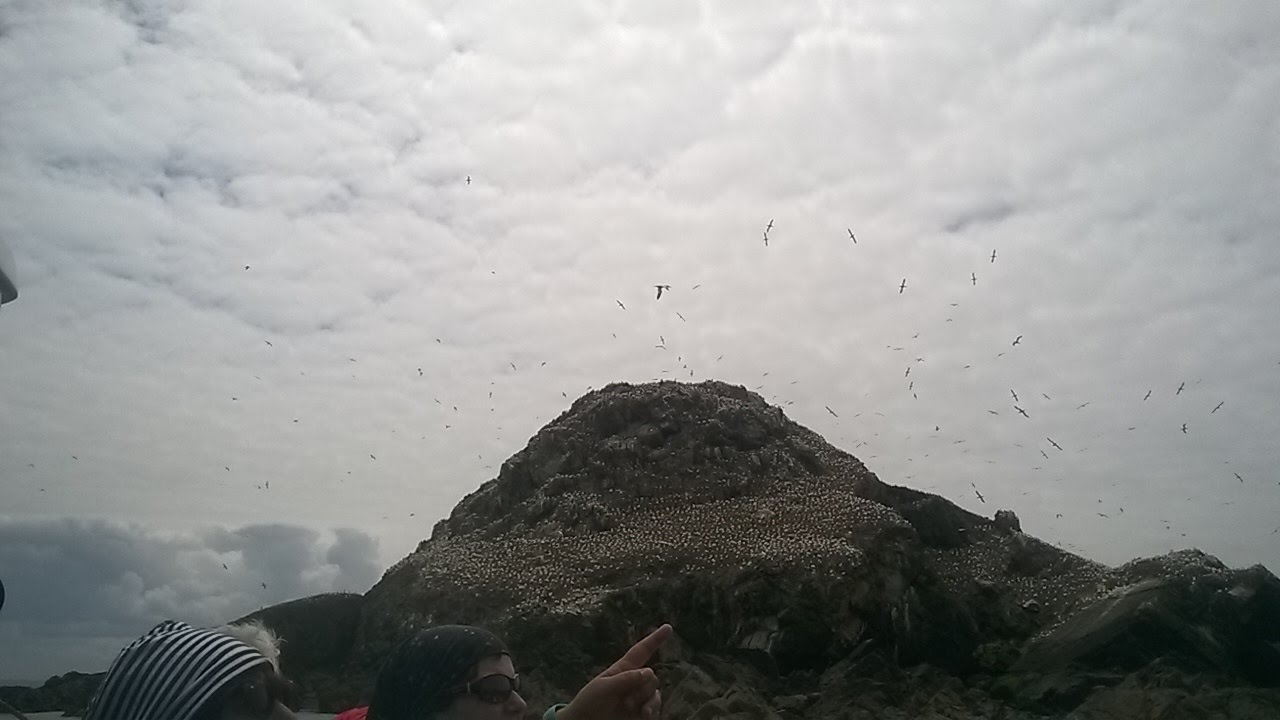 BZH 22 L' Archipel Des Sept ÎLes , Rouzic , Malban , Bono , île Aux ...