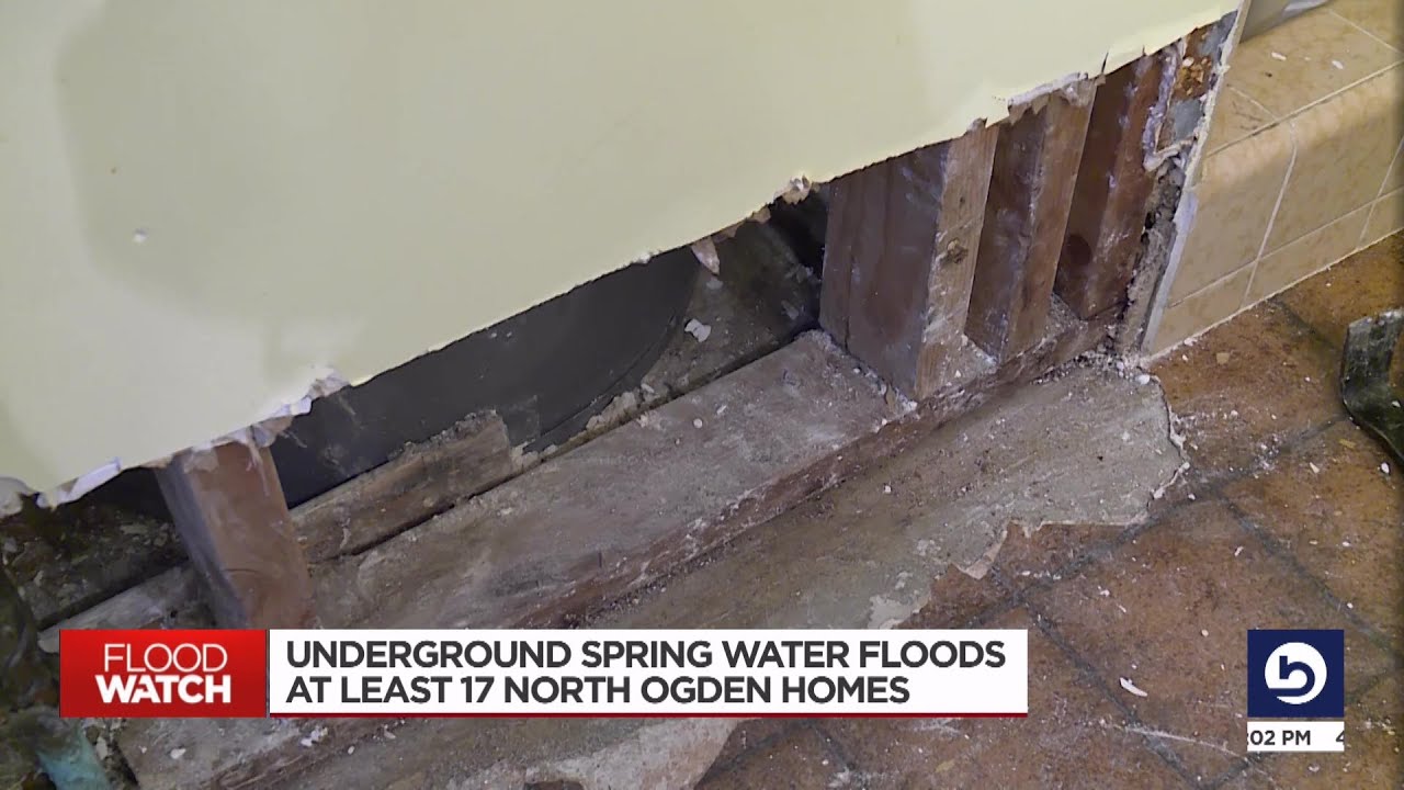 Underground spring water floods at least 17 North Ogden homes - YouTube