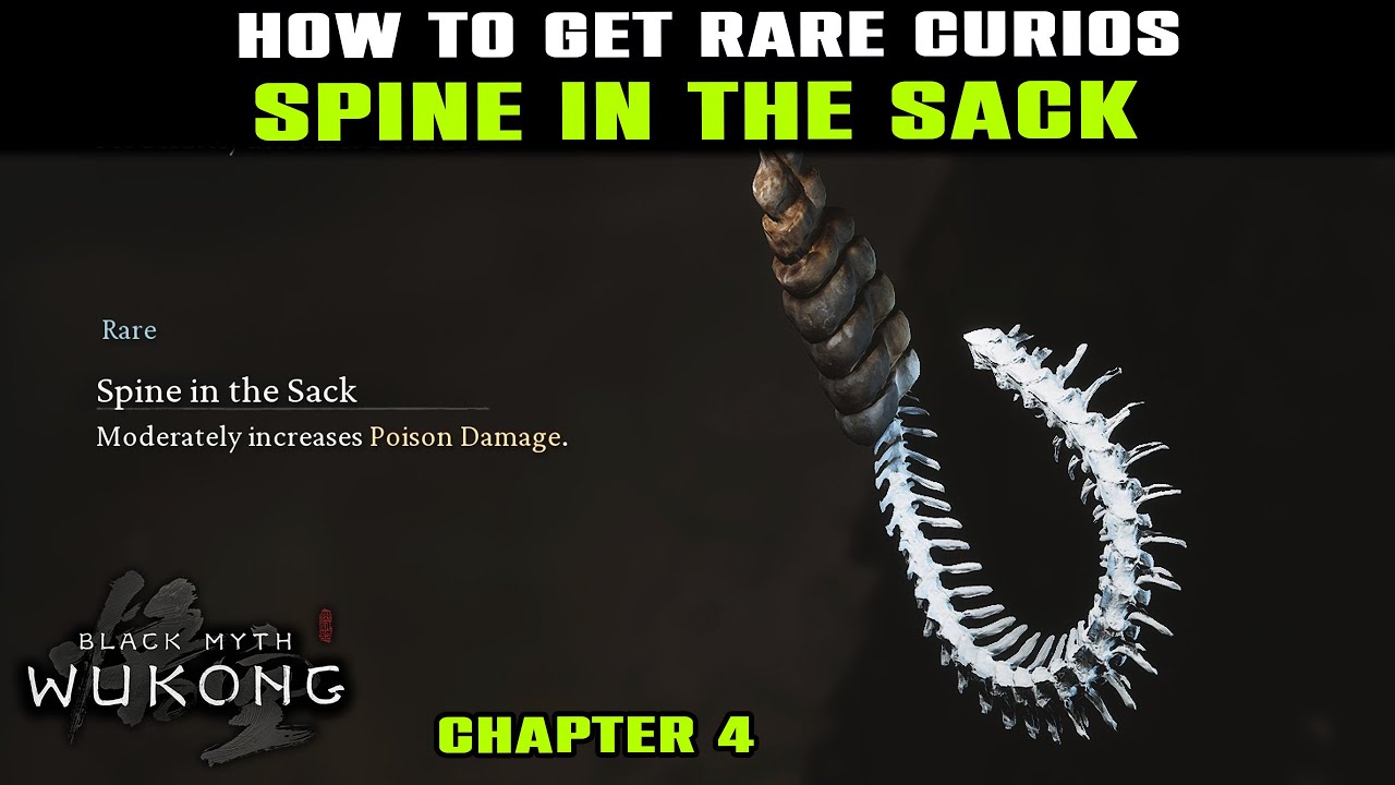 Poison Damage ITEM: SPINE IN THE SACK Curios Location Guide | Black ...