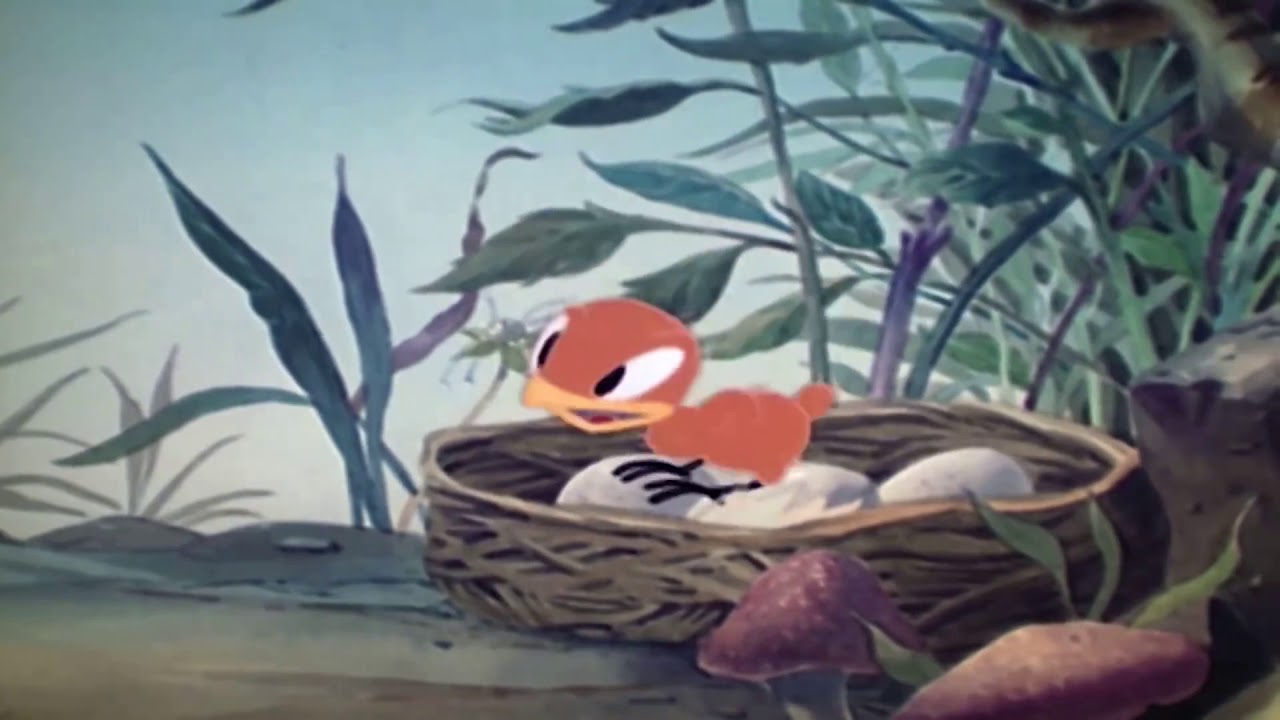 Andy Panda | baby bird saying Mama!! (This is NOT my artwork or film ...