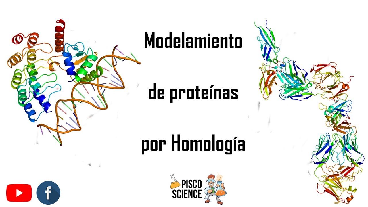 Cómo funciona el modelamiento de proteínas por homología - YouTube
