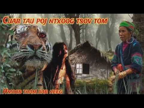 Dab neeg cuab tau poj ntxoog tsov thiaj tom..20/12/2023 - YouTube