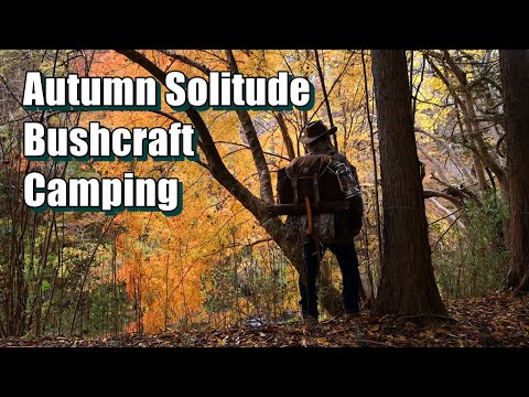 Autumn Solitude Bushcraft/ 秋のブッシュクラフトソロキャンプ - YouTube