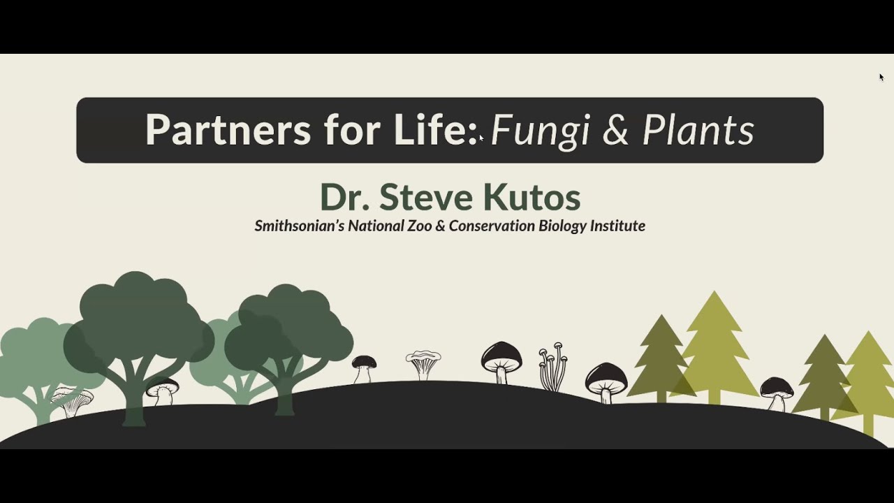 Partners for Life: Fungi & Plants with Steve Kutos - YouTube