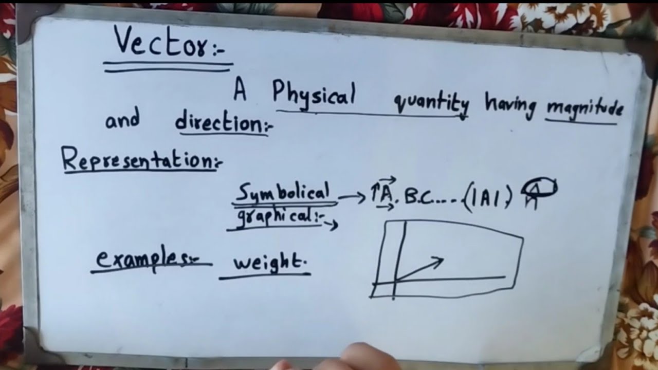 what is vector in physics | vector definition | Teach With Hamza - YouTube