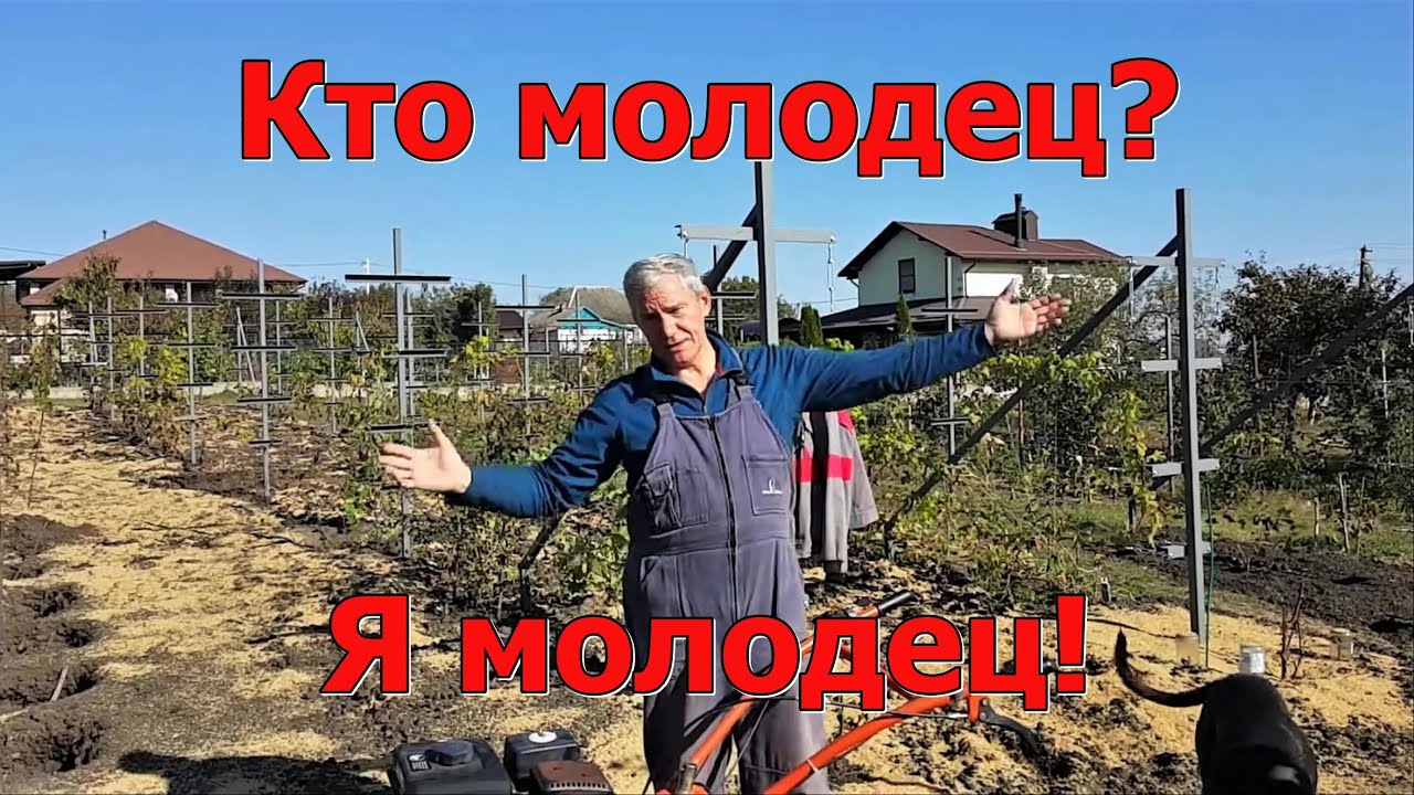 #304 Кто молодец? Я молодец! - YouTube