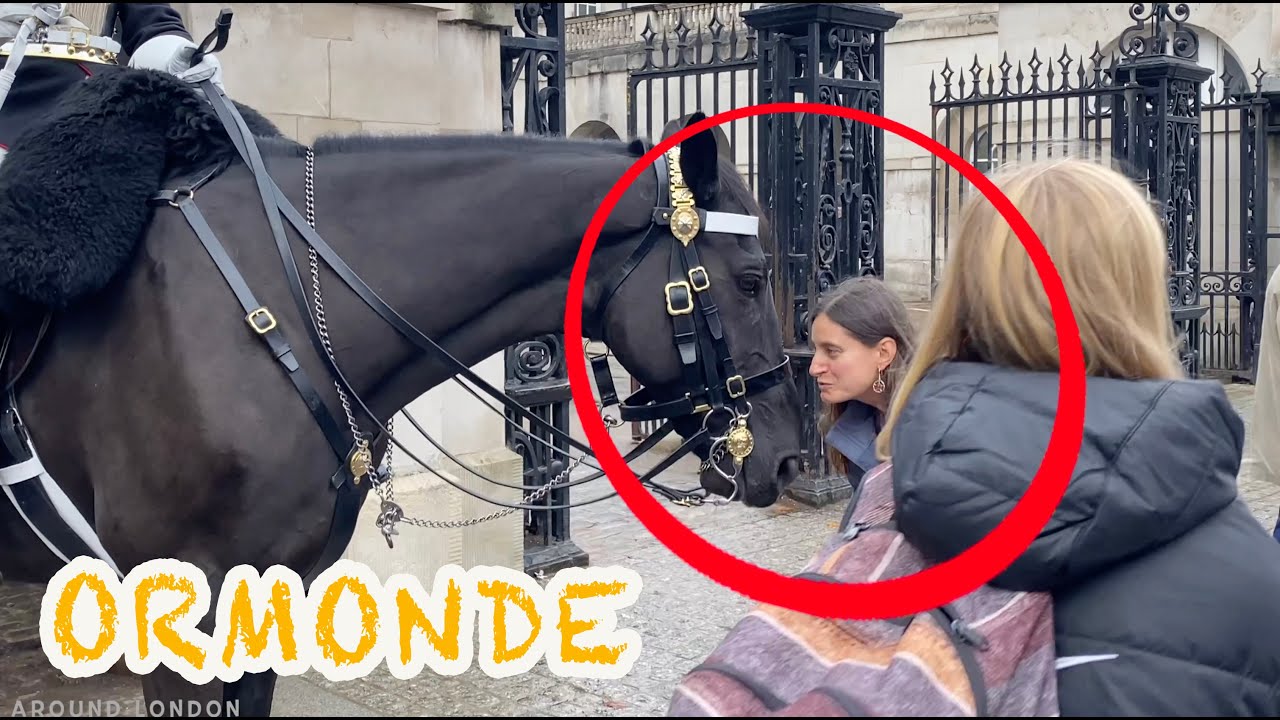 OMG!! YOU DARE TO KISS ORMONDE?! - YouTube