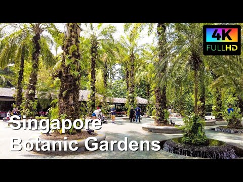 [4K 60P] Walking Tour @ Singapore Botanic Gardens Nassim Gate | 植物园 ...