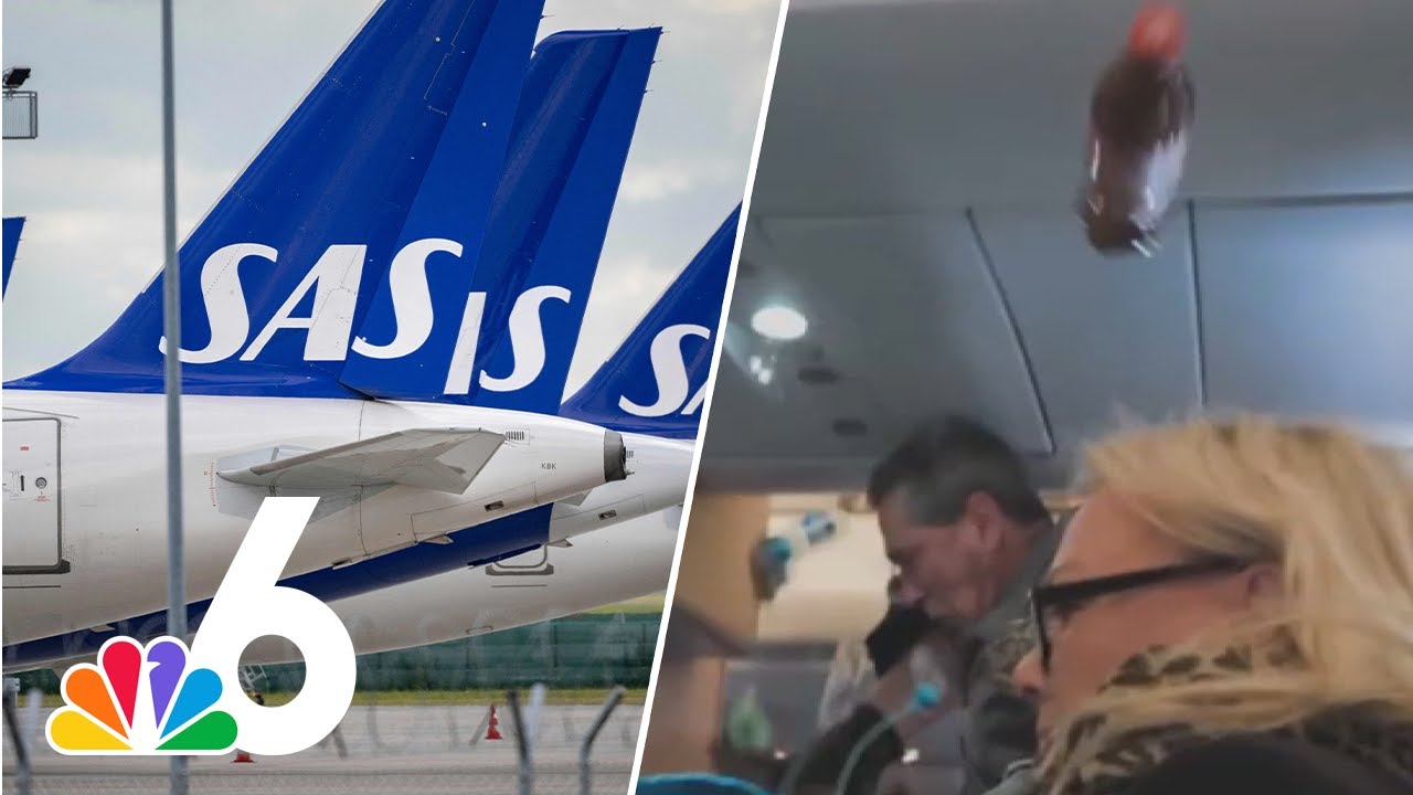 Passenger on SAS flight to Miami recounts severe turbulence - YouTube
