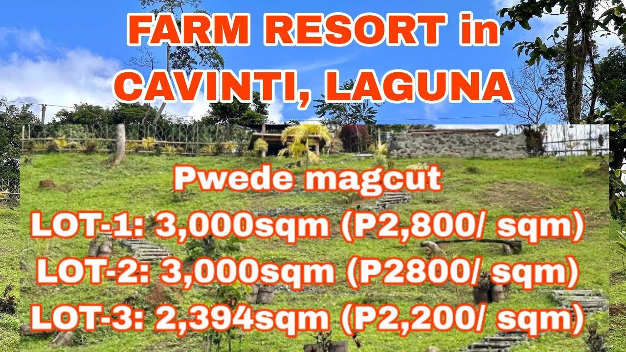 (P# 553) 8,394 sqms pwede magcut 3,000 and 2,394 sqms Caliraya, Cavinti ...