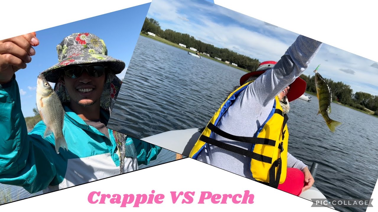 Crappie VS Perch//Cardiff Pond To Star Lake(8312022) - YouTube