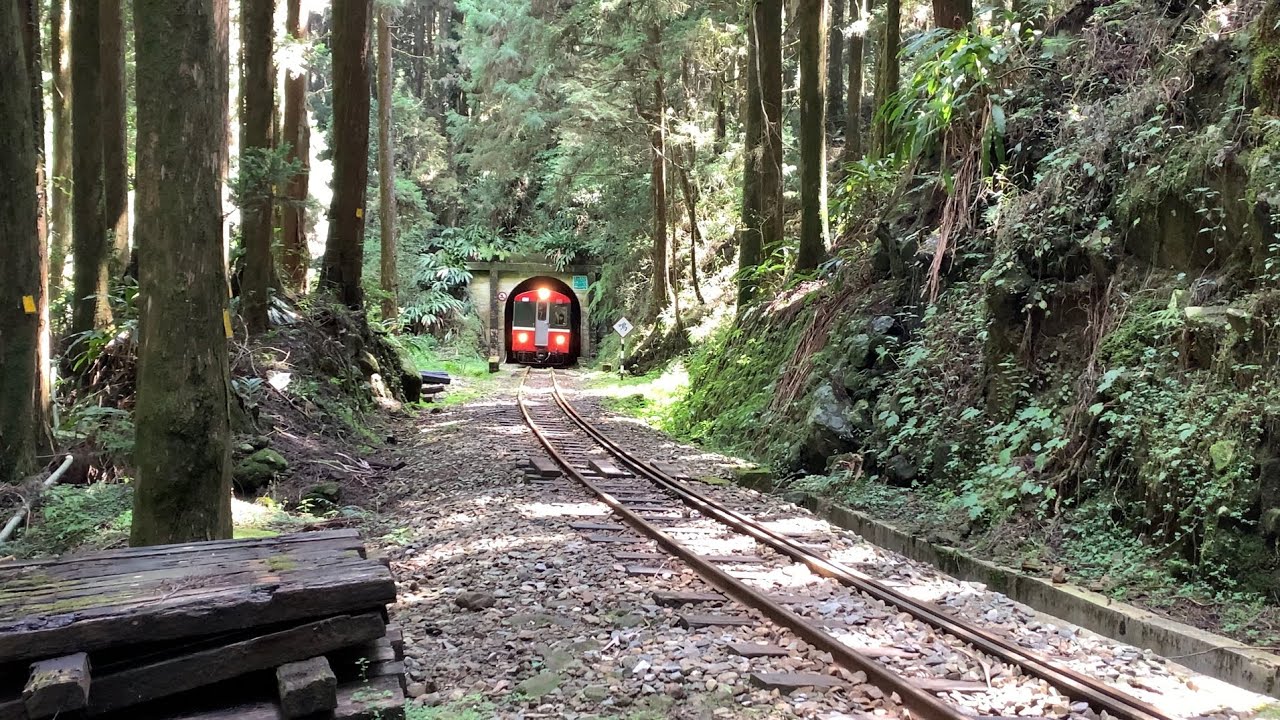 【Alishan Forest Railway】Passenger Train in The Forest II - YouTube