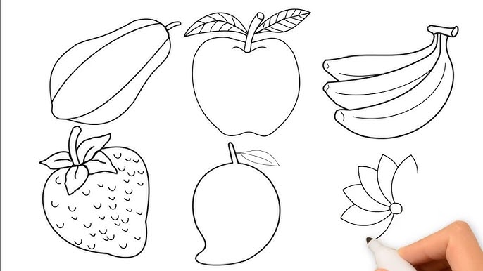 Drawings Of Fruits And Vegetables Fruits And Vegetables Drawing Vector