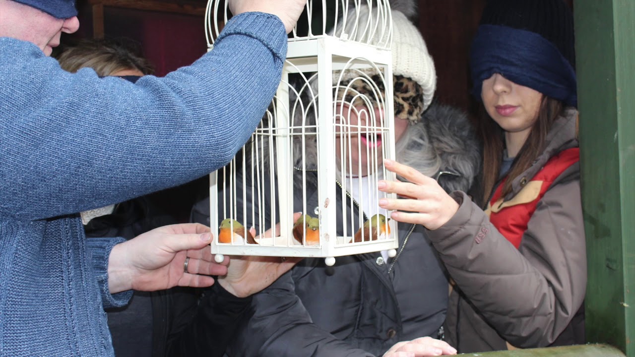 Bird Box Teambuilding Challenge - YouTube